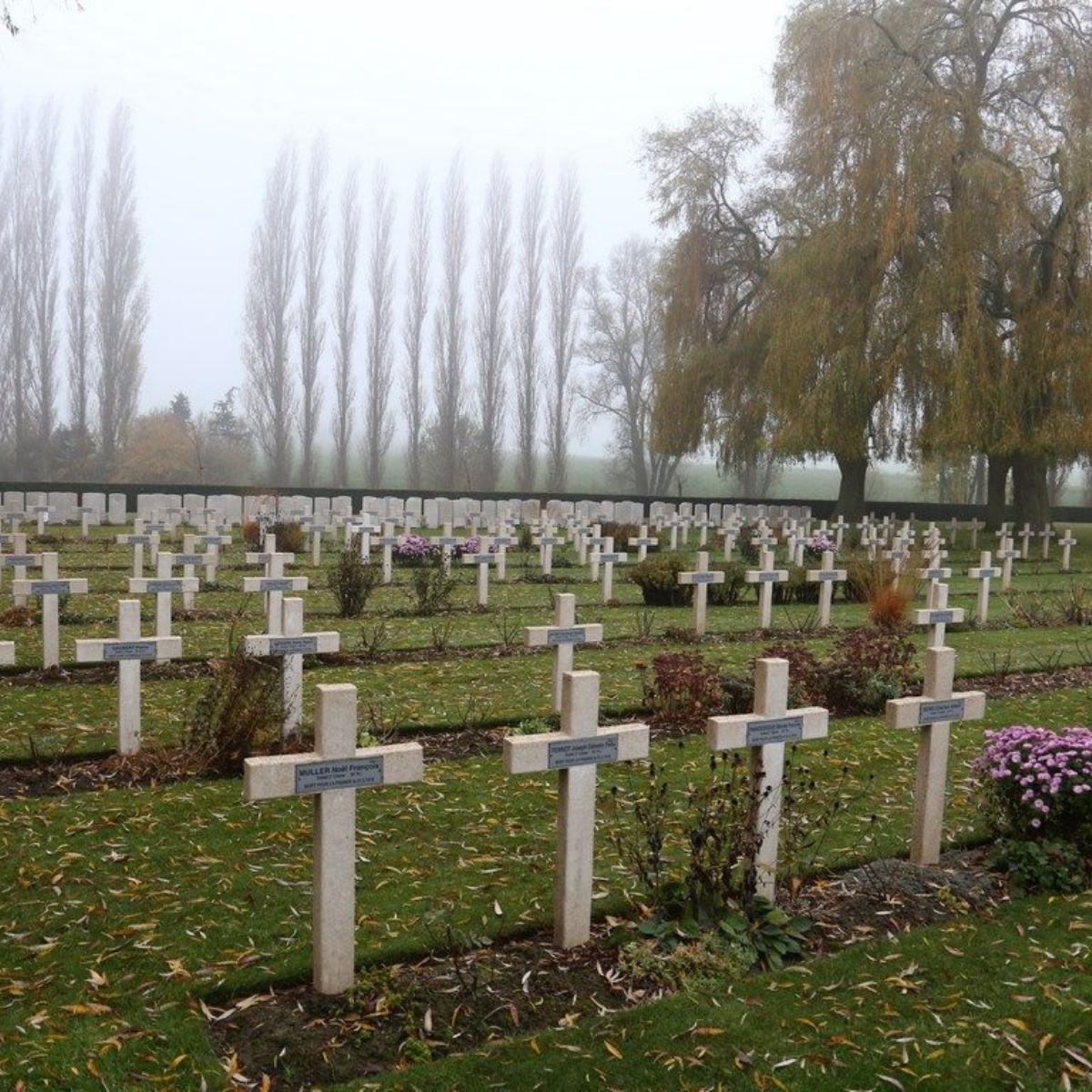 The Basildon Upper Academy - Basildon Academies Remembering Ypres, 2018